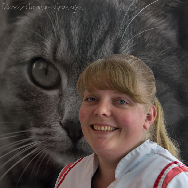 Dierenziekenhuis Groningen Medewerkers
